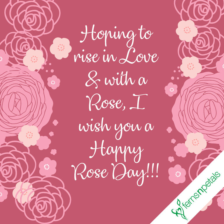 Rose Day Quotes, Wishes N Greetings | Happy Rose Day 2020 - Ferns N Petals
