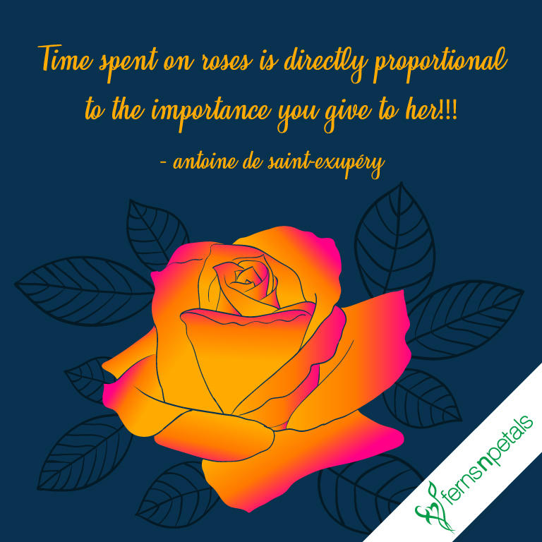 Rose Day Quotes, Wishes N Greetings | Happy Rose Day 2020 - Ferns N Petals