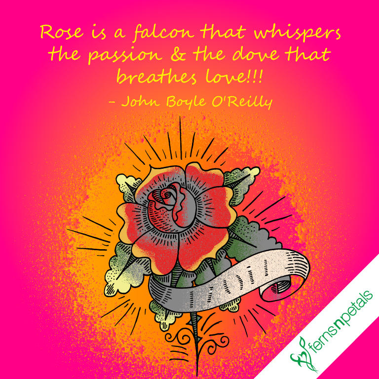 Rose Day Quotes, Wishes N Greetings | Happy Rose Day 2020 - Ferns N Petals