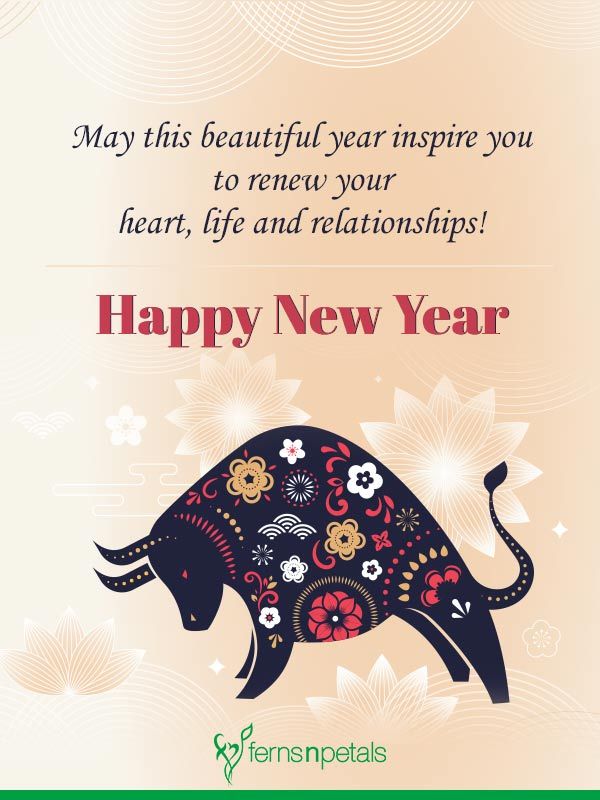 Chinese New Year Quotes - 2026, CNY Wishes and Messages - FNP SG