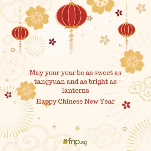 Chinese New Year Quotes - 2026, CNY Wishes and Messages - FNP SG
