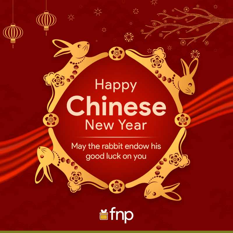 Chinese New Year Quotes - 2025, CNY Wishes and Messages - FNP SG