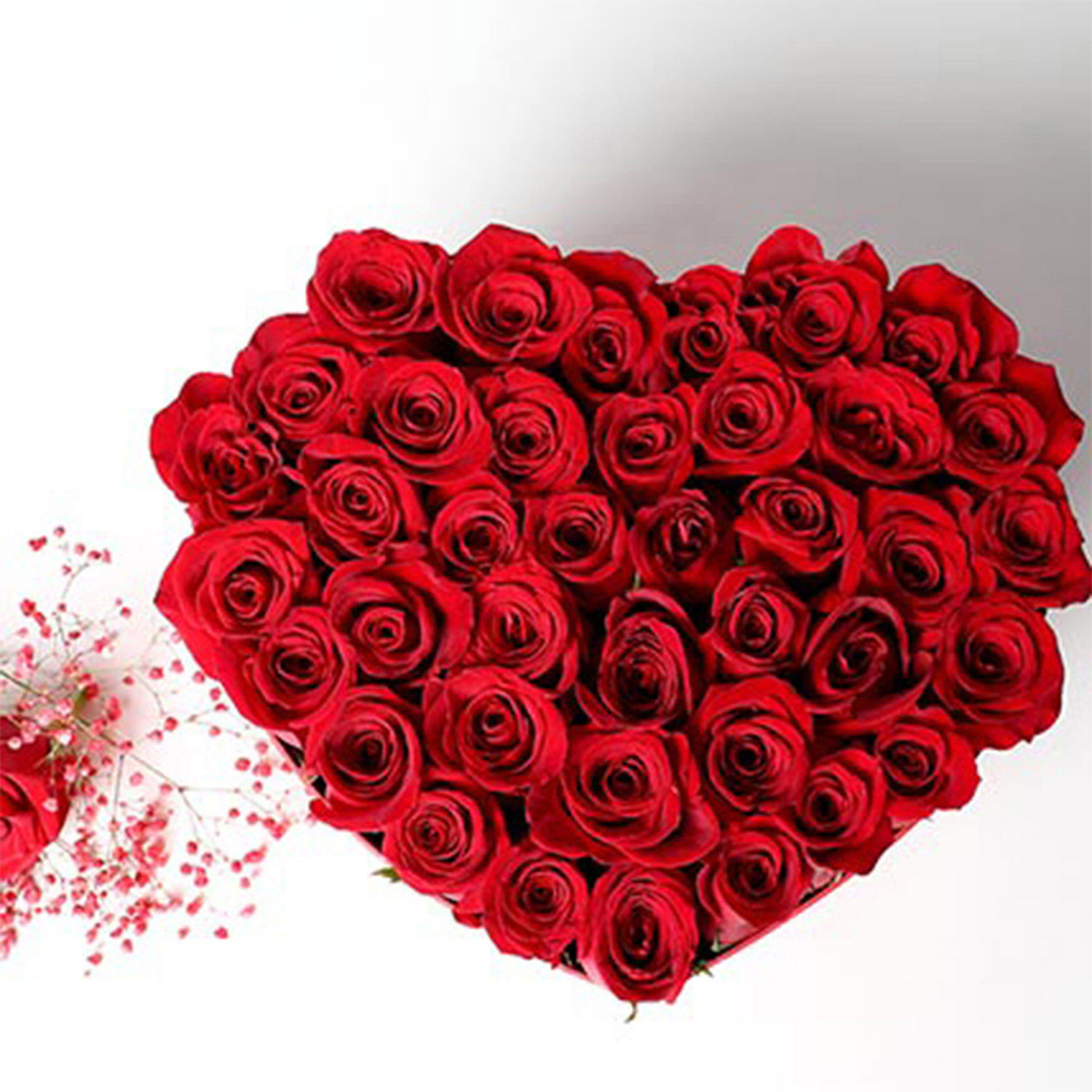 Sending My Love With Roses Delivery in Singapore - FNP SG