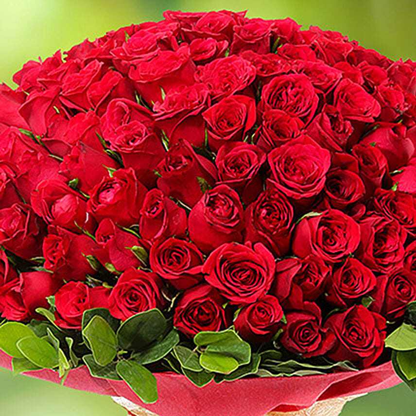 Elegant Bunch Of 100 Roses Delivery in Singapore - FNP SG