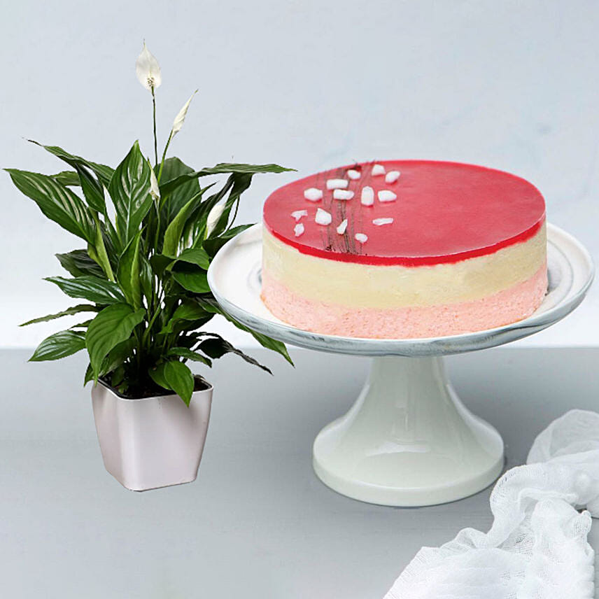 Raspberry Lychee Rose Cake With Lily Plant Delivery in Singapore - FNP SG