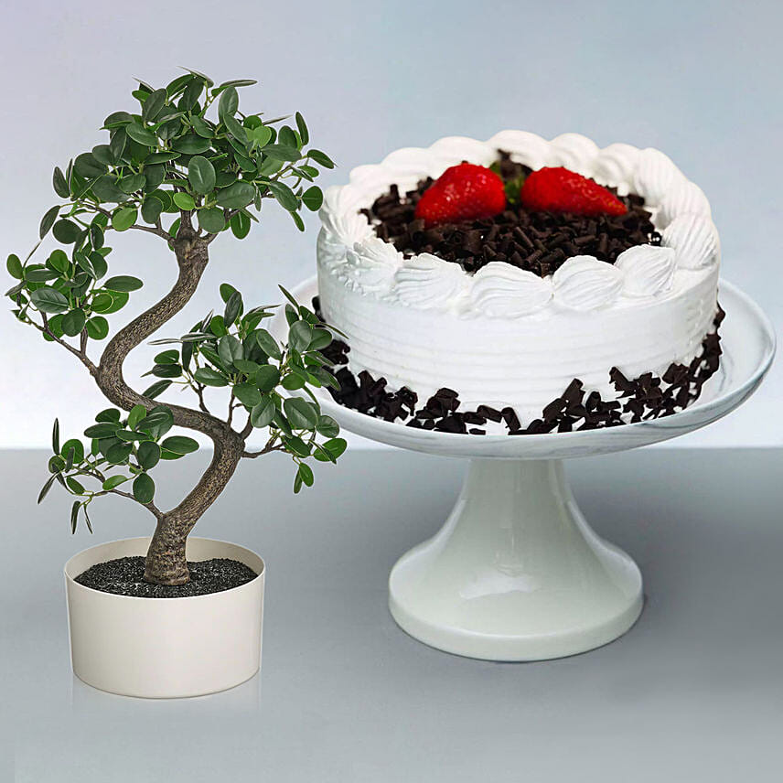 Black Forest Cake with Beautiful Bonsai Plant Delivery in Singapore ...