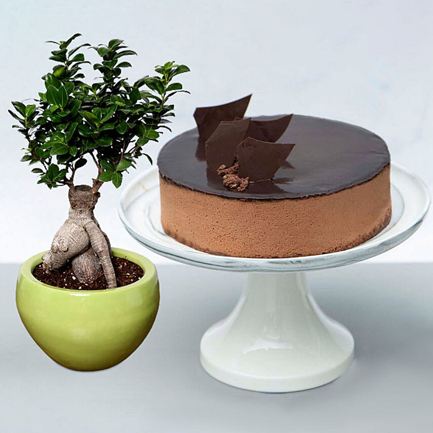 Crunchy Chocolate Cake with Bonsai Plant Delivery in Singapore - FNP SG