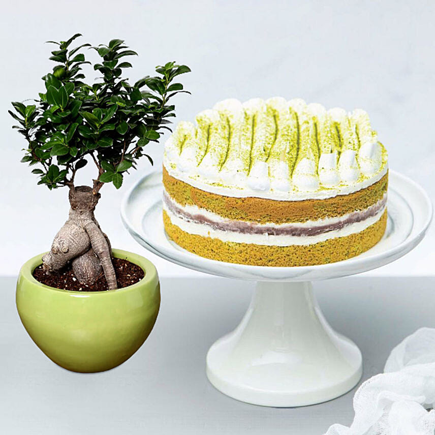 Matcha Cake with Bonsai Plant Delivery in Singapore - FNP SG