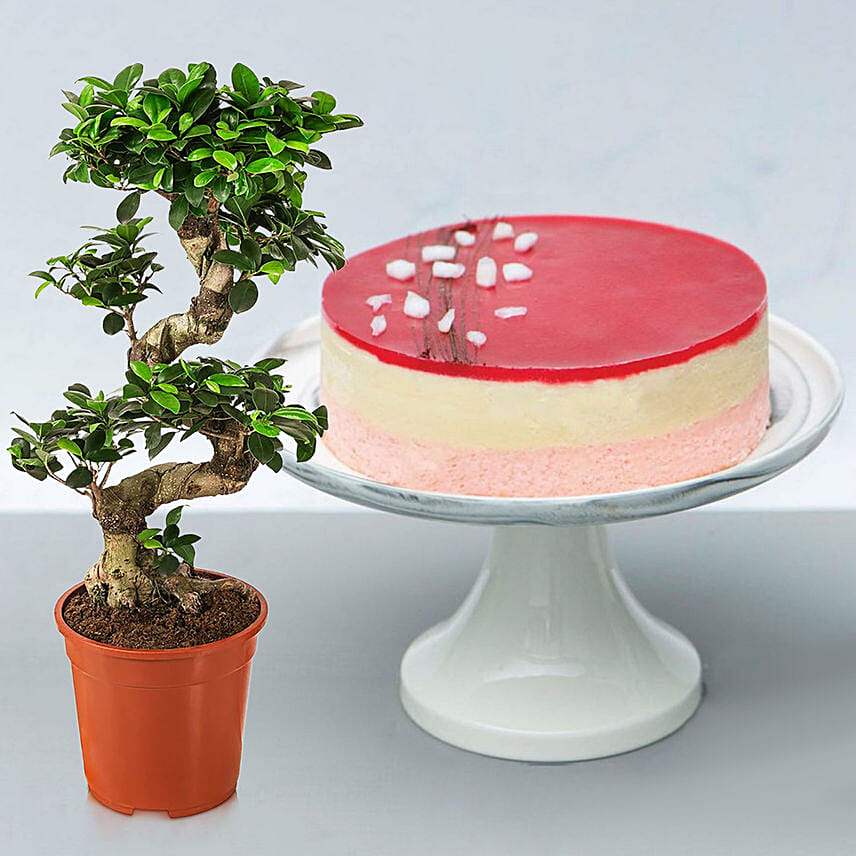 Raspberry Lychee Cake with Enchanting Bonsai Plant Delivery in ...