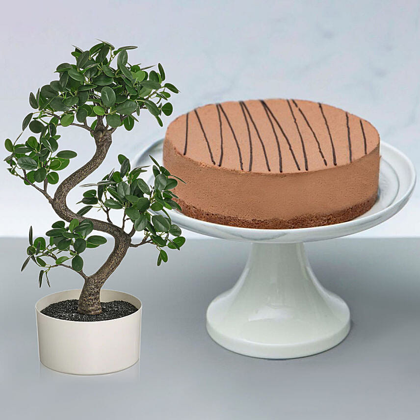 Truffle Cake with Beautiful Bonsai Plant Delivery in Singapore - FNP SG