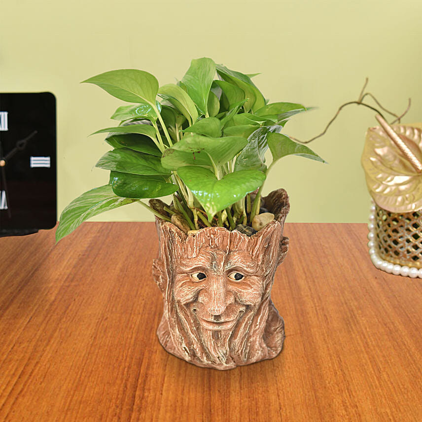 Money Plant In Man Face Designer Pot Delivery in Singapore - FNP SG