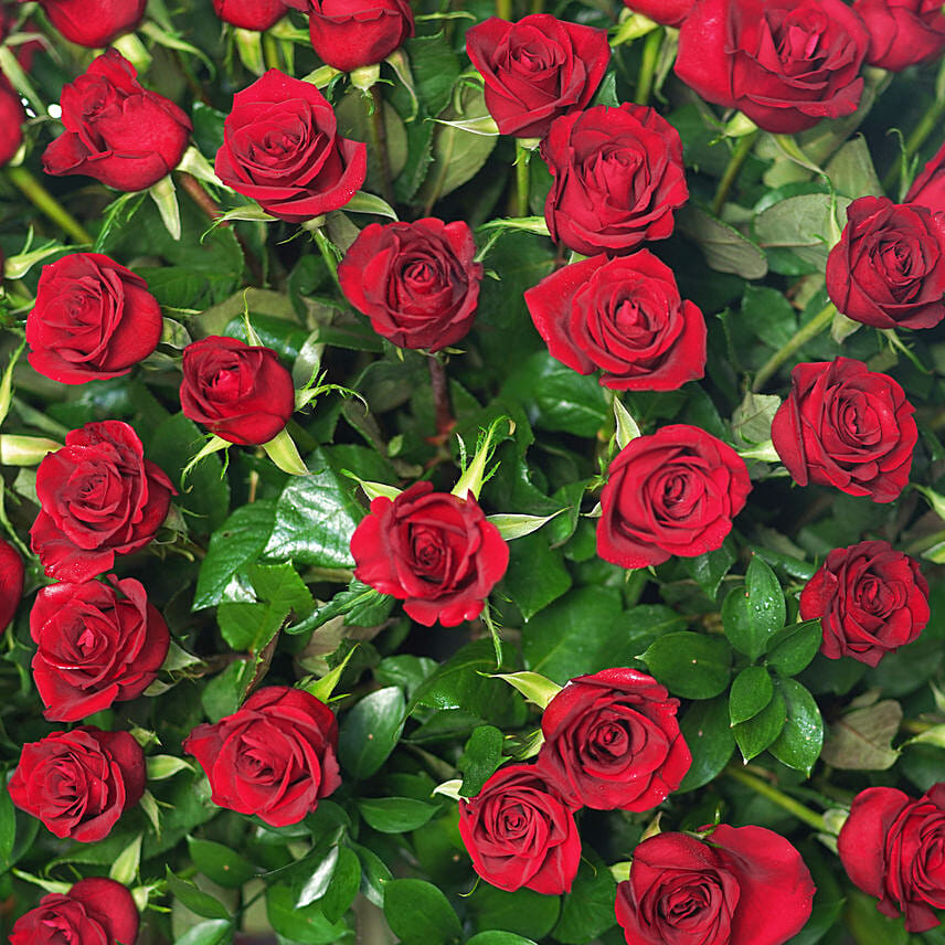 Online 252 V-day Red Roses Arrangement for 520 Gift Delivery in SGP - FNP