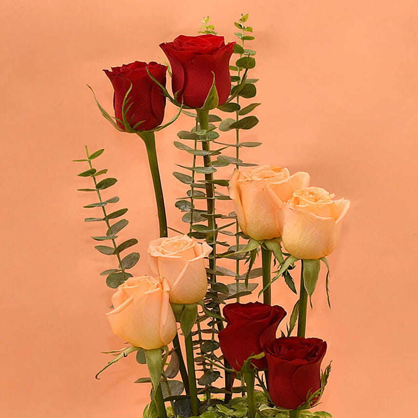 Adorable Roses In Square Personlised Glass Vase Delivery in Singapore ...
