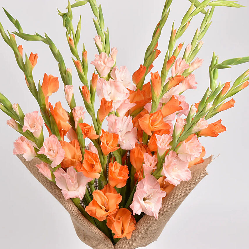 October Birthday Gladiolus Flower Bouquet Delivery in Singapore - FNP SG