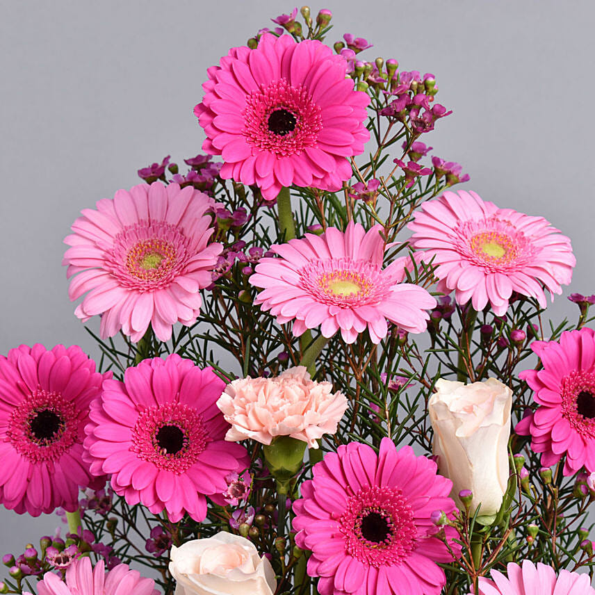 Gerberas Beauty Delivery in Singapore - FNP SG