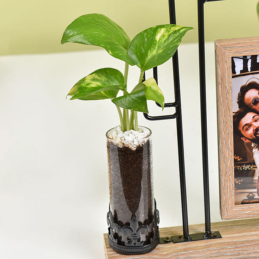 Personalized Hanging Frame Delivery in Singapore - FNP SG