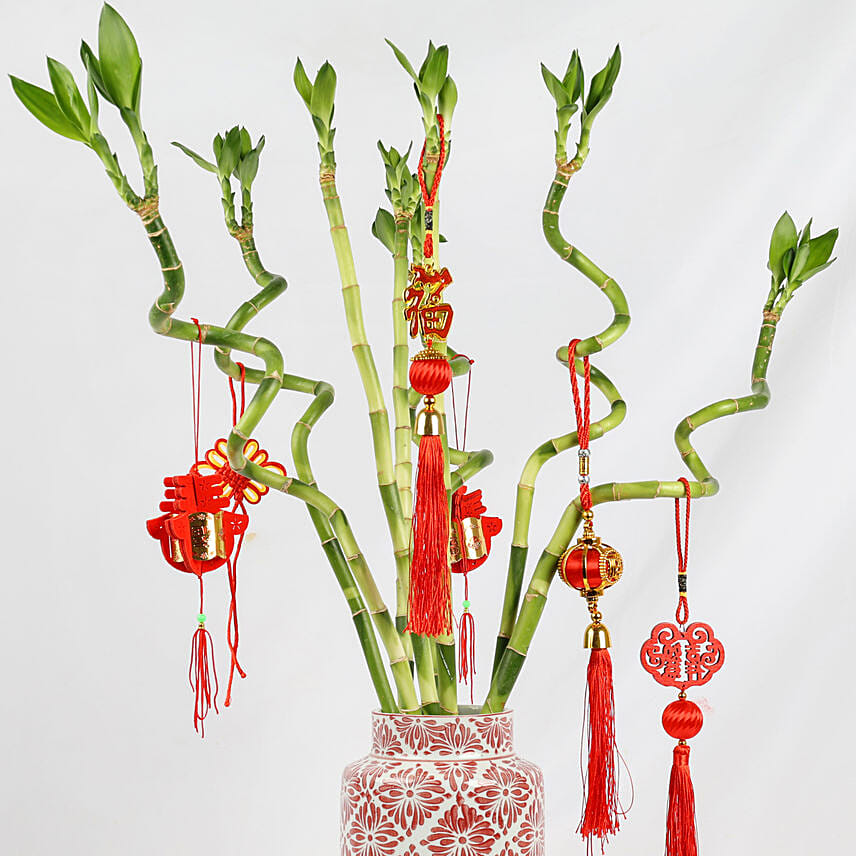 New Year Lucky Bamboo in chinese Pot Delivery in Singapore - FNP SG