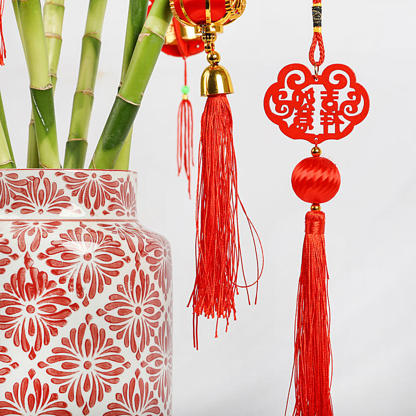 New Year Lucky Bamboo in chinese Pot Delivery in Singapore - FNP SG
