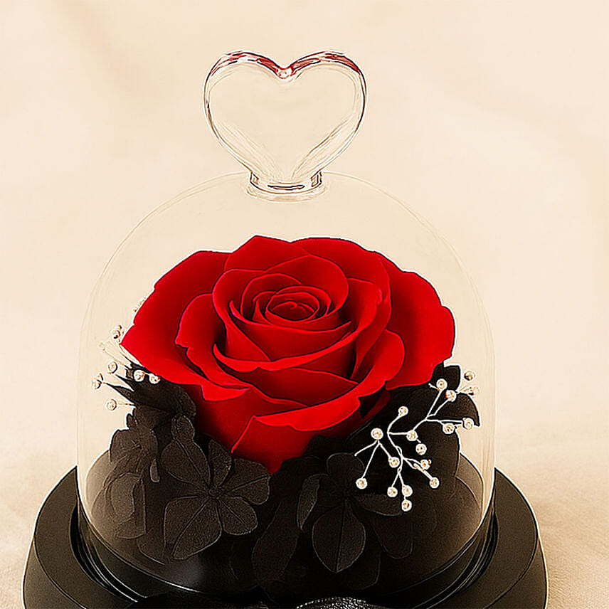 Forever Red Rose in Glass Dome Delivery in Singapore - FNP SG
