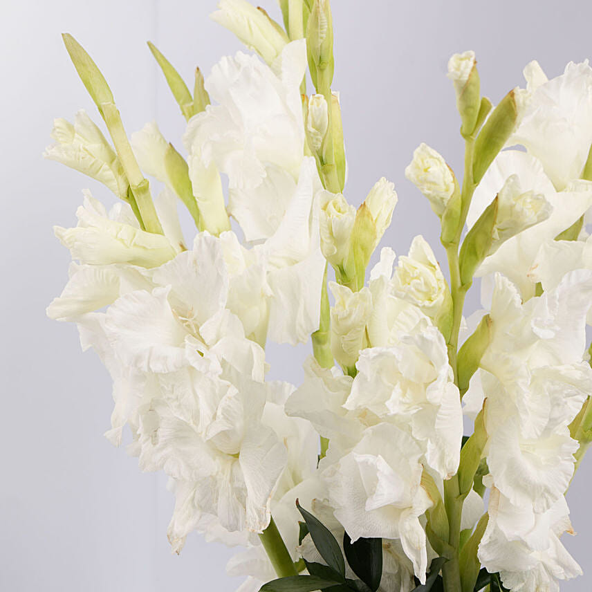 Blissful White Gladiolus Arrangement Delivery in Singapore - FNP SG