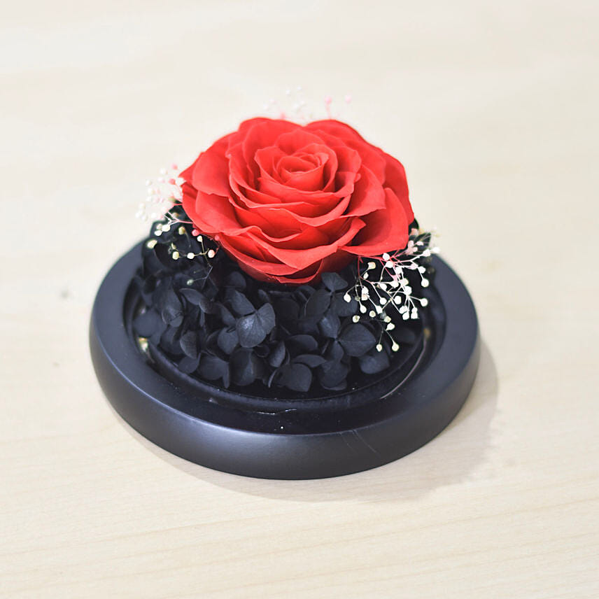 Forever Red Rose in Glass Dome Delivery in Singapore - FNP SG