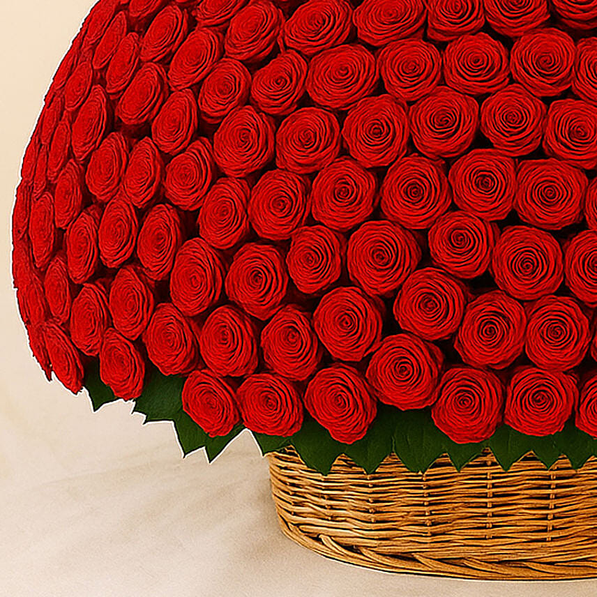 800 Red Roses Basket Delivery in Singapore - FNP SG