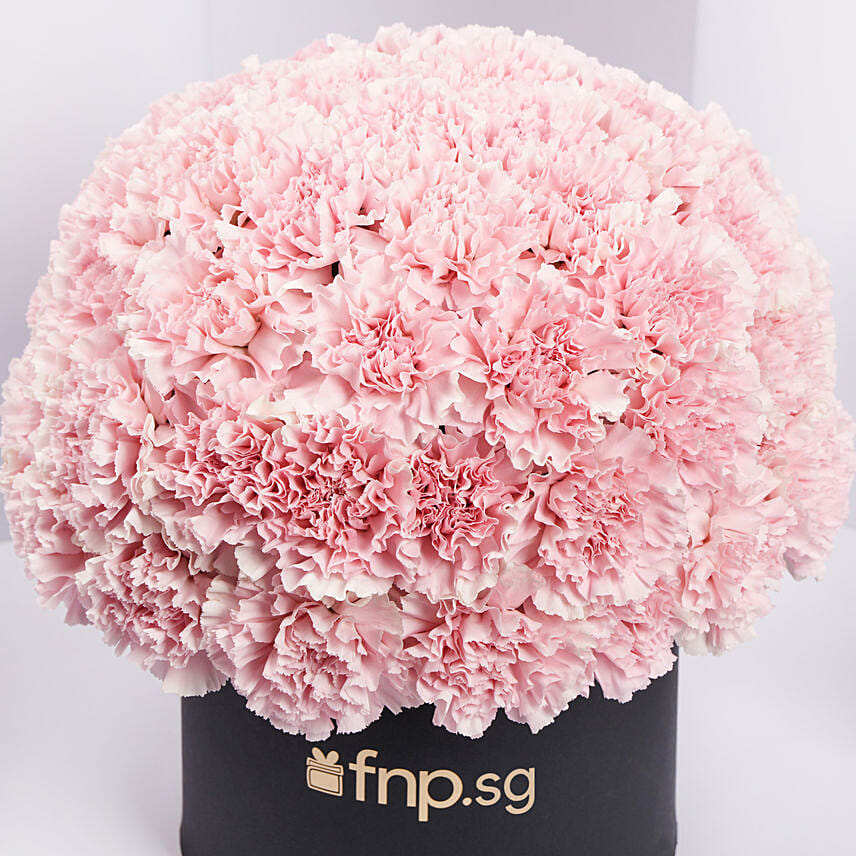Pink Carnations Luxe Arrangement Delivery in Singapore - FNP SG
