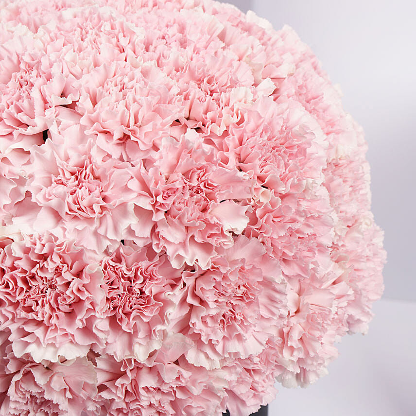 Pink Carnations Luxe Arrangement Delivery in Singapore - FNP SG
