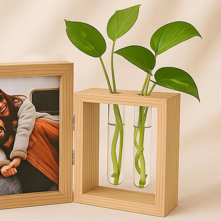 Personalised Frame and Money Plant Delivery in Singapore - FNP SG