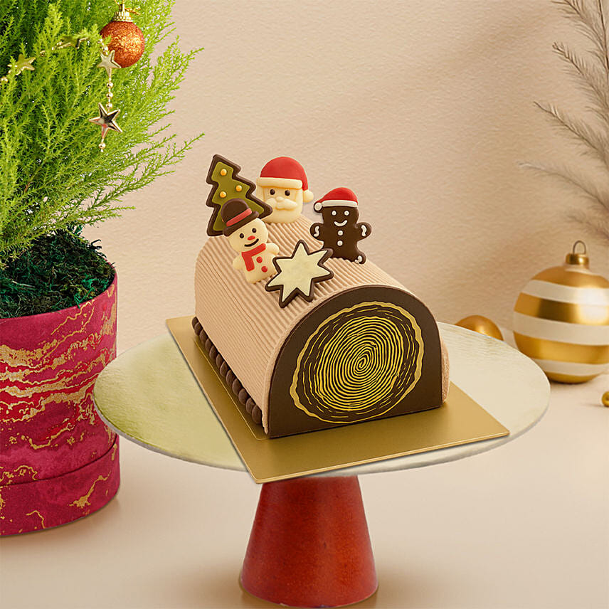 Festive Cupressus & Chocolate Log Cake Set Delivery in Singapore - FNP SG