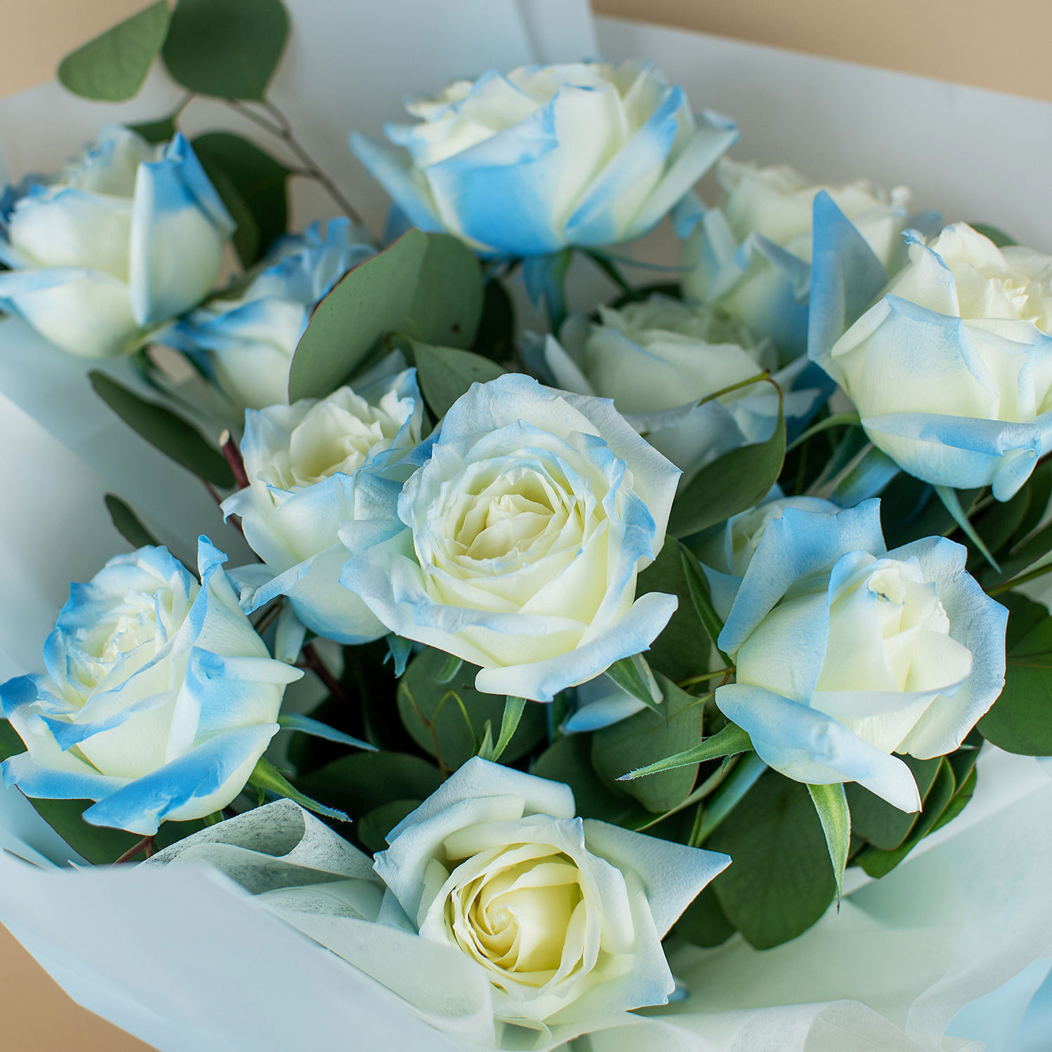 Beautifully Tied Blue Roses Bouquet 6 Stems Delivery in Singapore - FNP SG