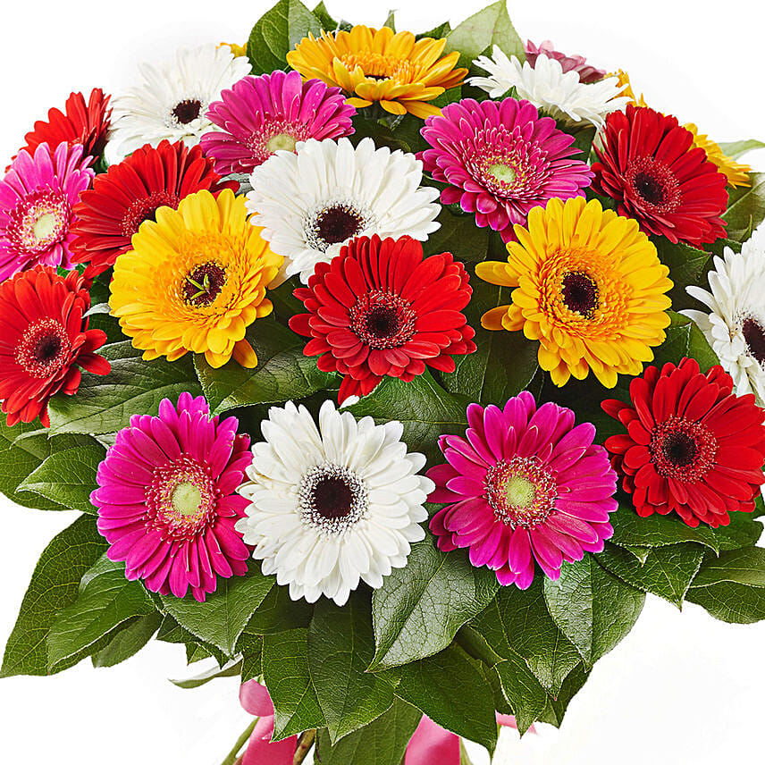 Summery 6 Gerbera Blooming Bouquet Delivery in Singapore - FNP SG