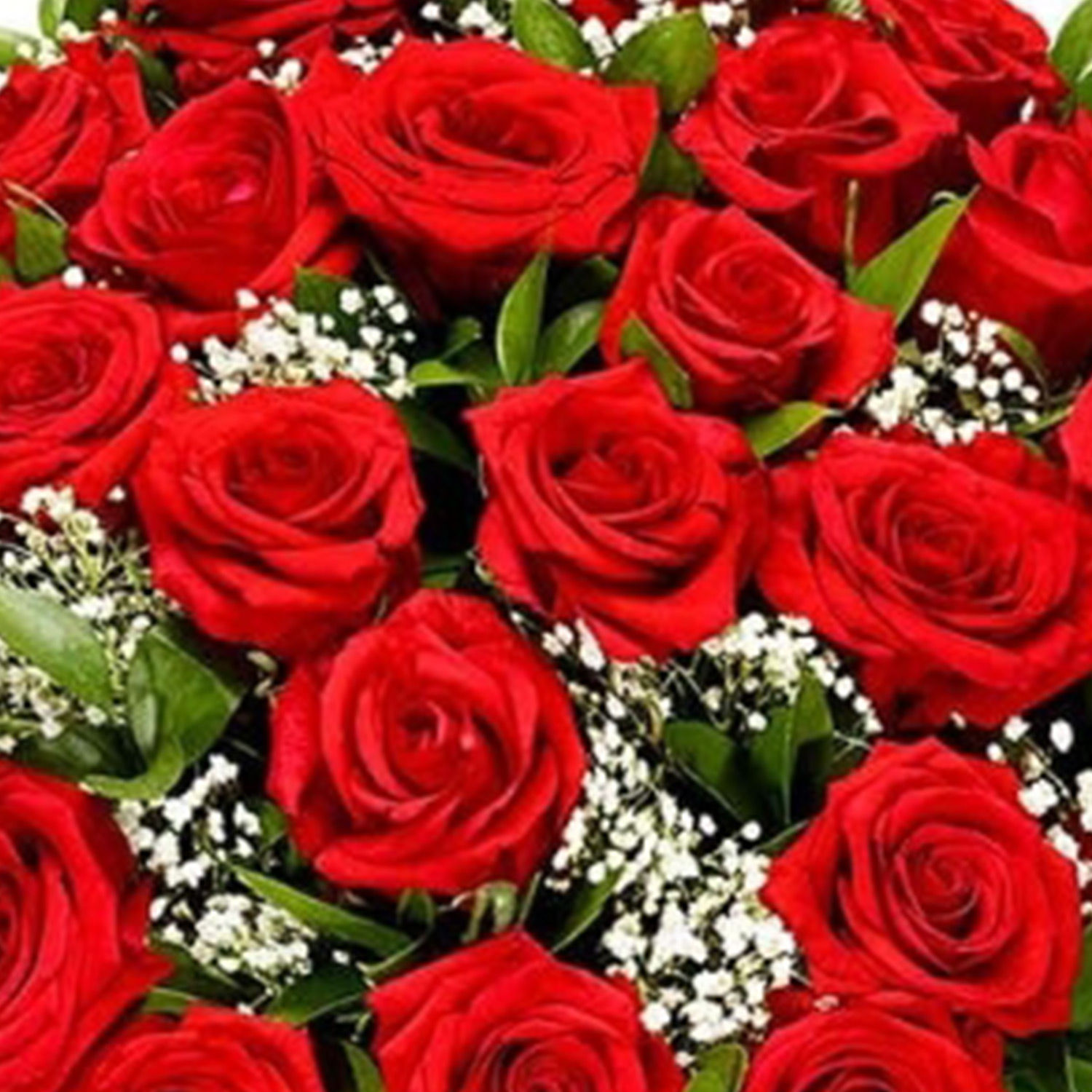 24 Red Roses Bouquet Delivery in Singapore - FNP SG