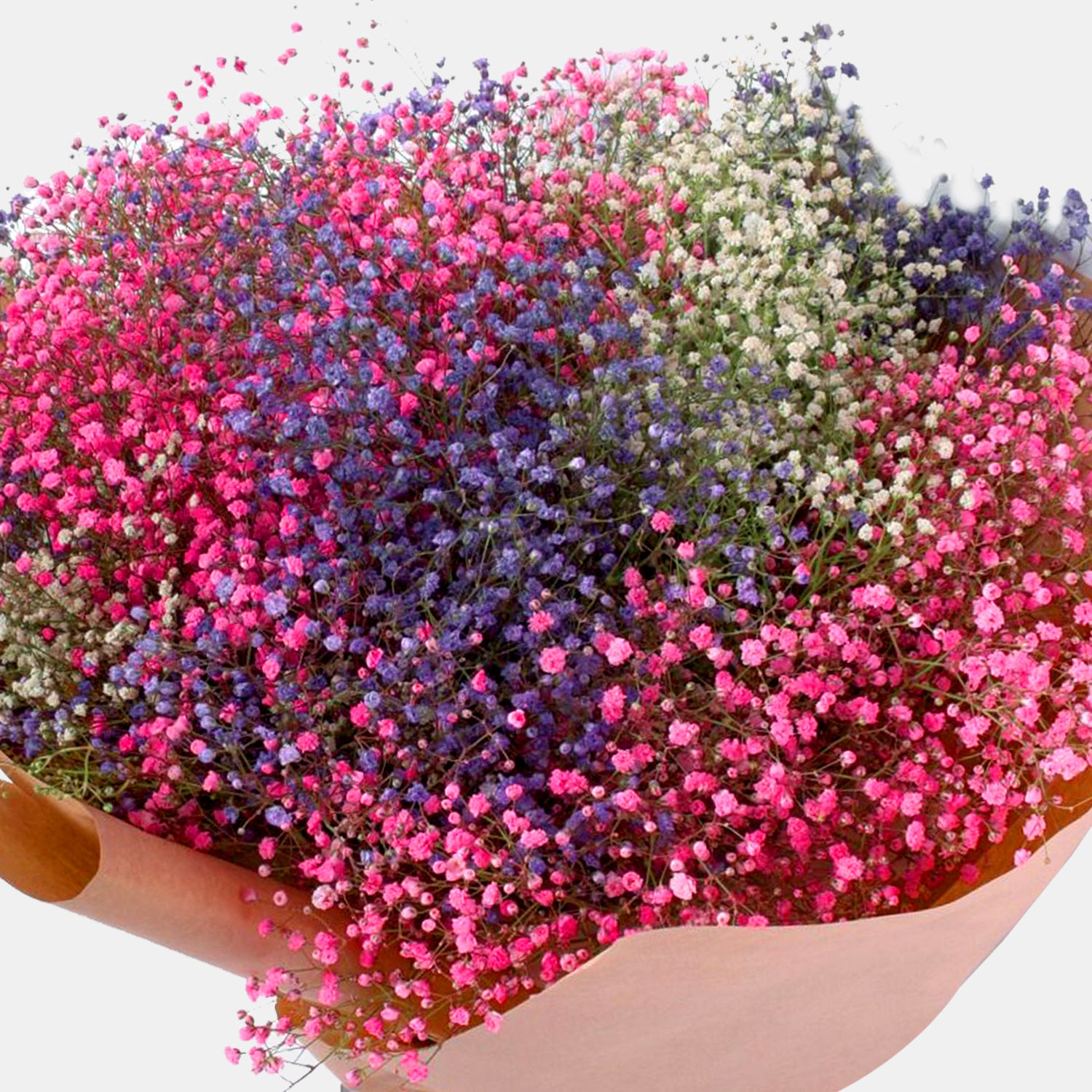 Gypsophila Abundance Bunch Delivery in Singapore - FNP SG