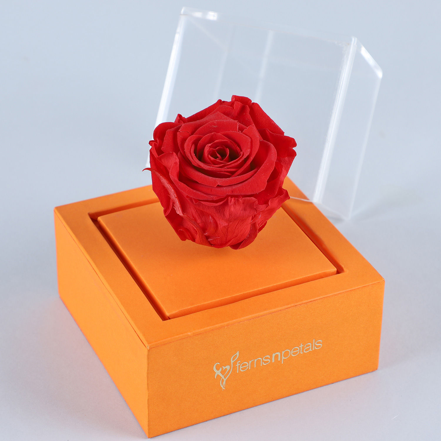 Red Forever Rose In Orange Box Delivery in Singapore - FNP SG