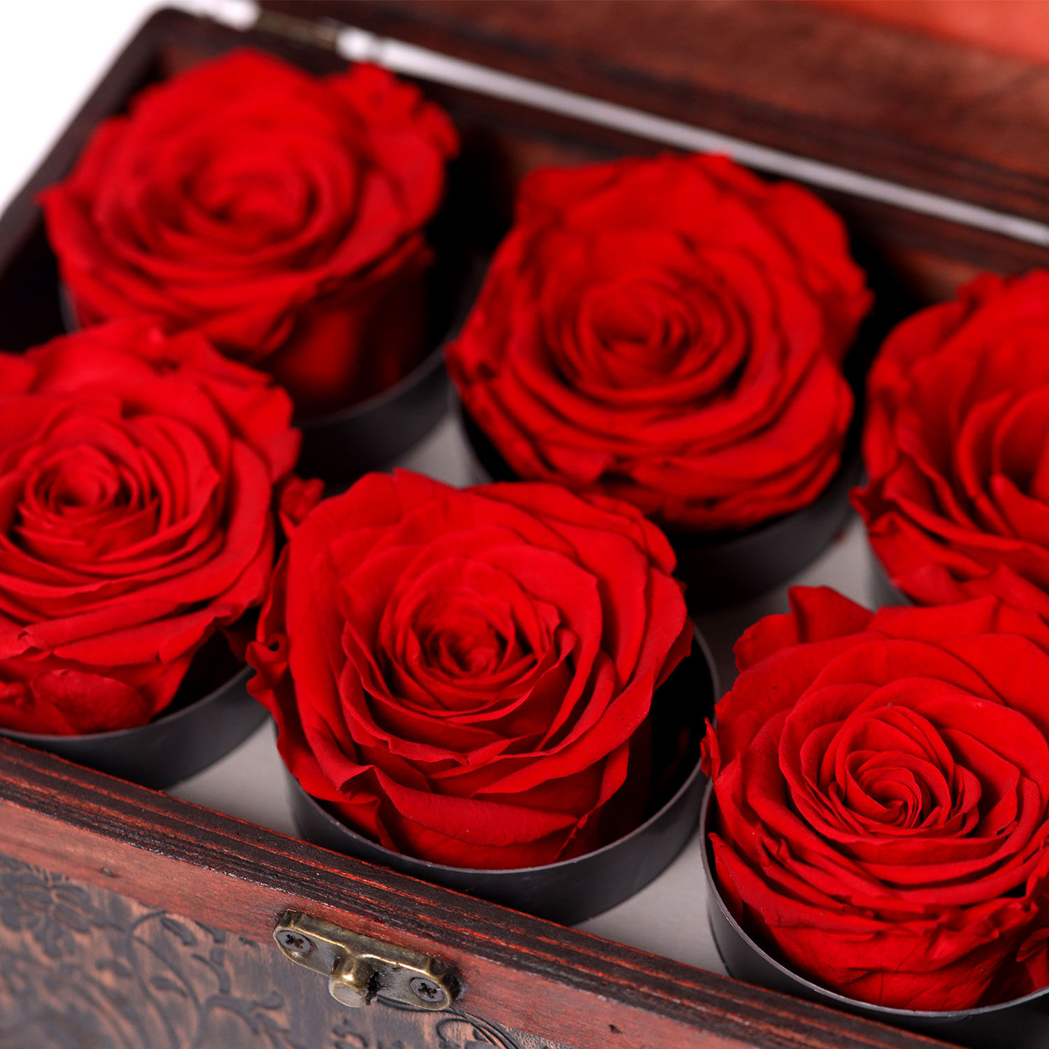 Forever Red Roses & Ferrero Rocher Combo Delivery in Singapore - FNP SG