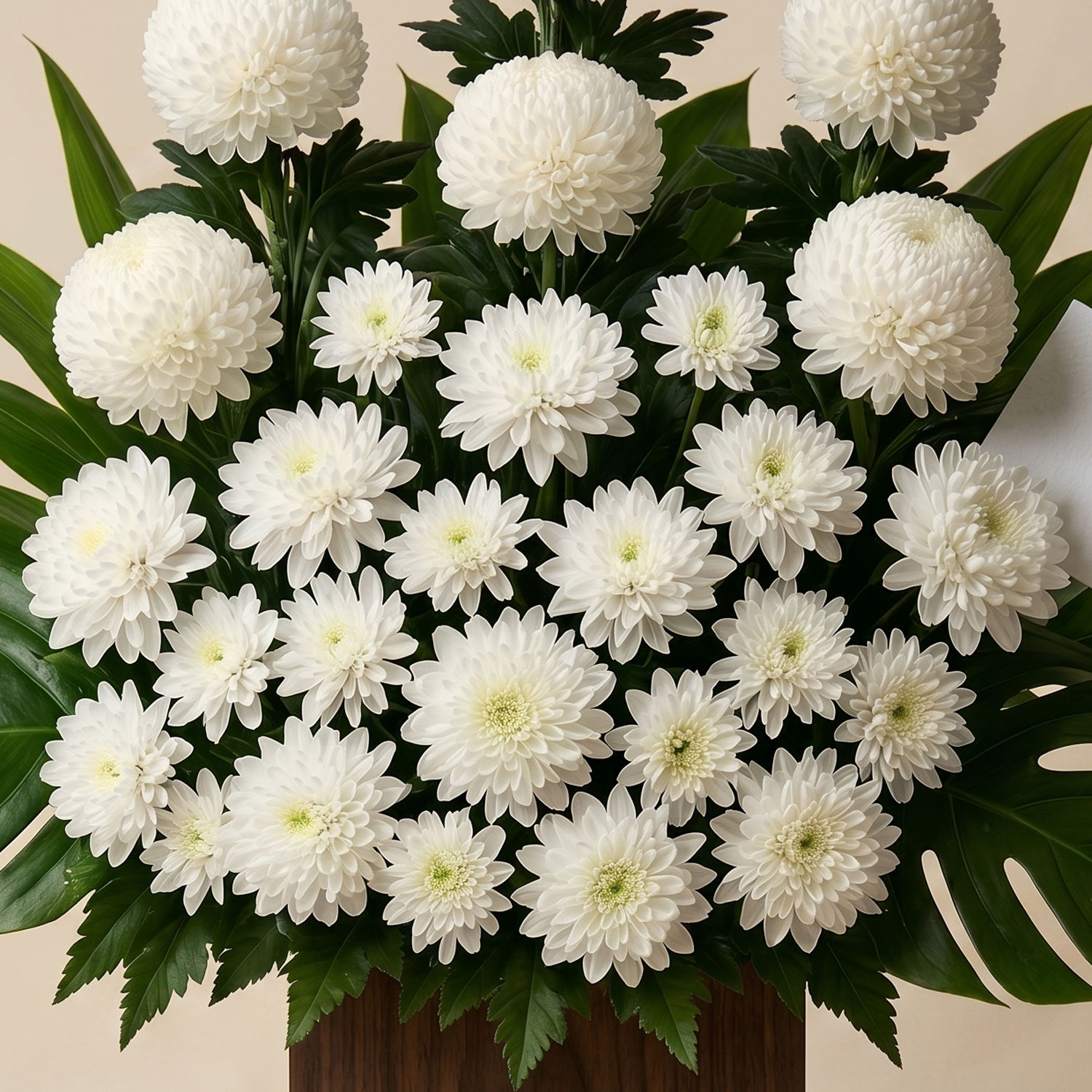 White Ball Mums Flower Stand Delivery in Singapore - FNP SG