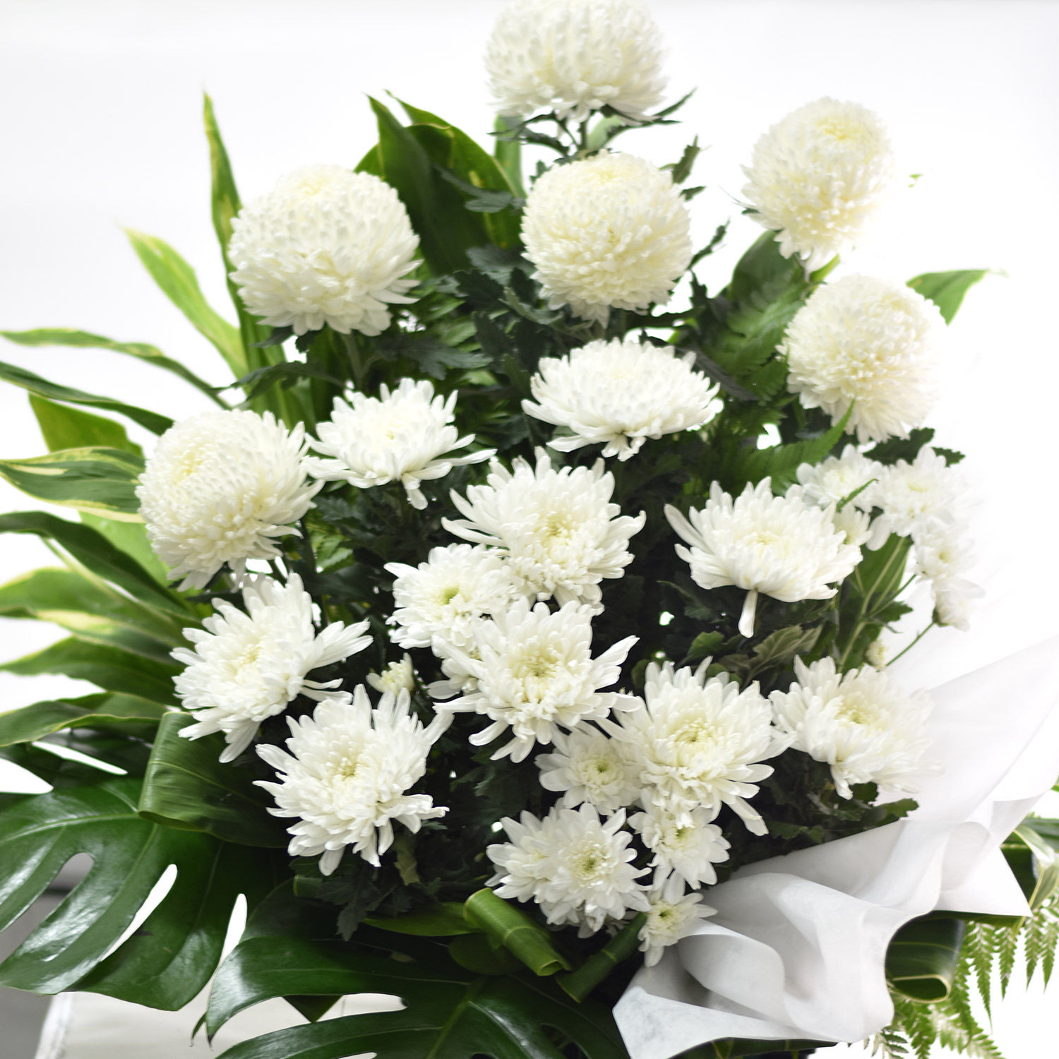 White Ball Mums Flower Stand Delivery in Singapore - FNP SG
