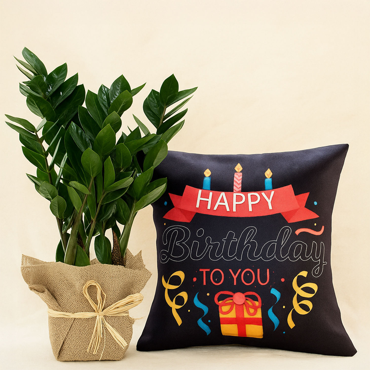 Jute Wrapped Jamia Plant With Personalised Birthday Candle Cushion ...