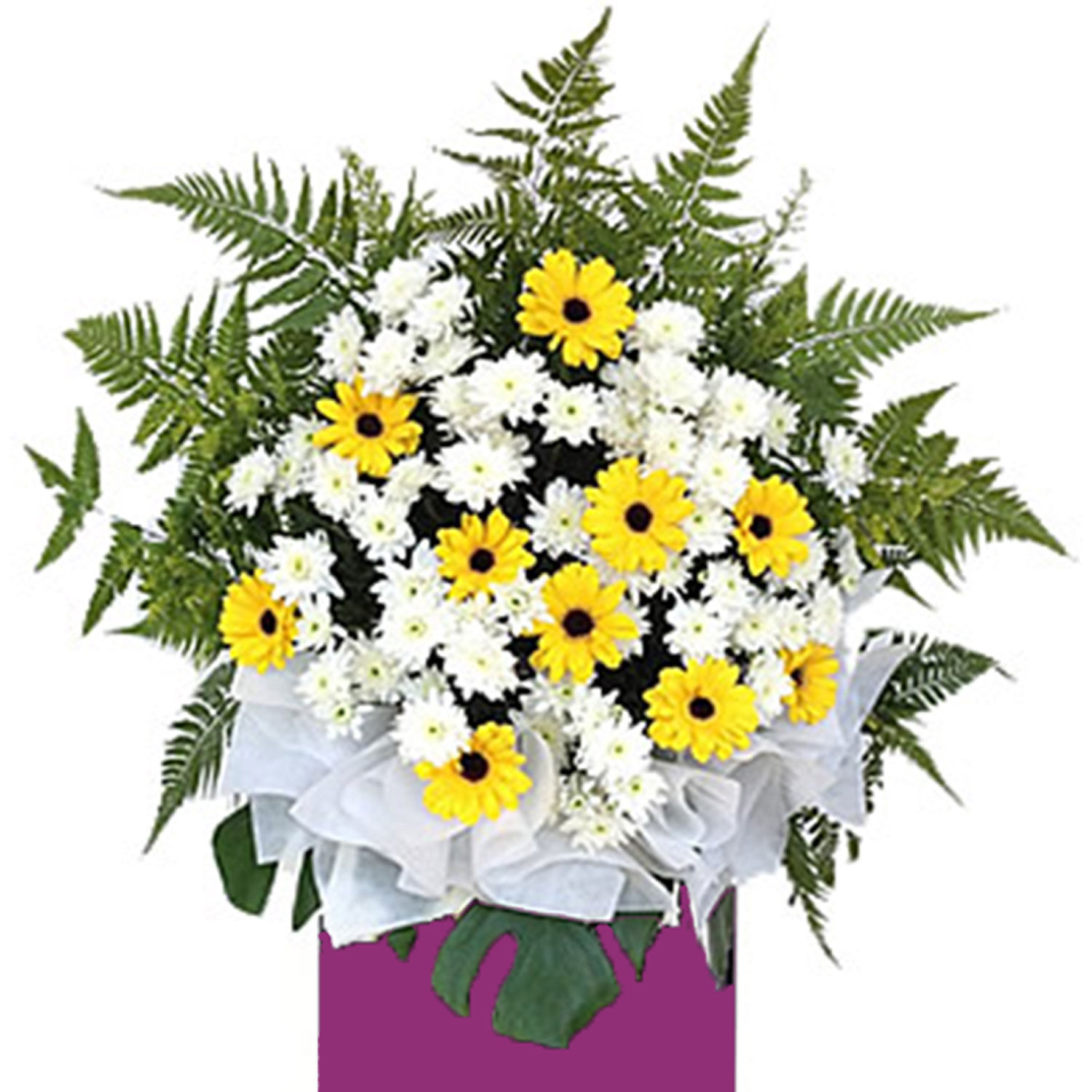 Yellow Gerberas White Pom In Beautiful Pink Stand Delivery in Singapore ...
