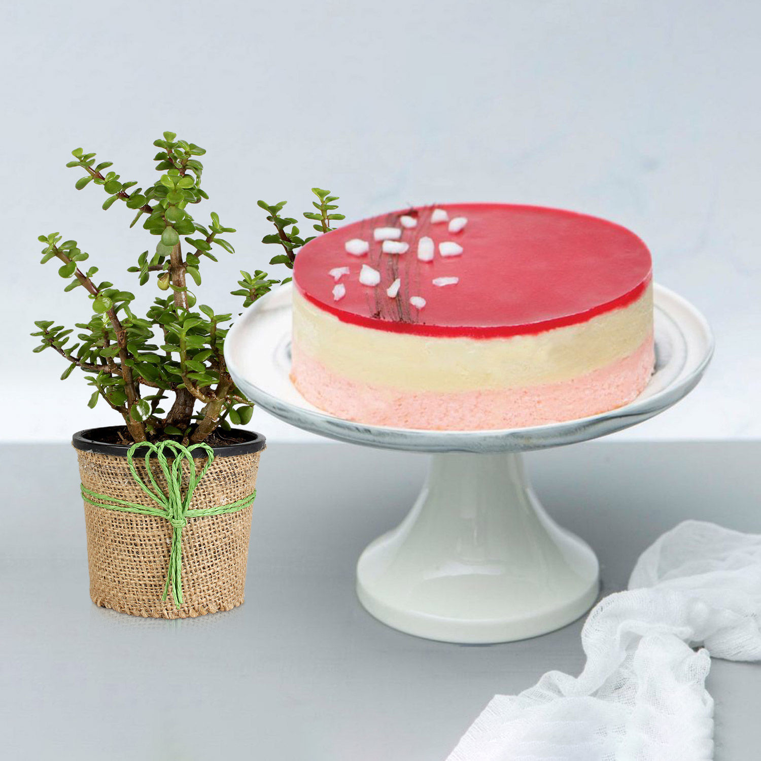 Raspberry Lychee Rose Cake With Beautiful Jade Plant Delivery in ...