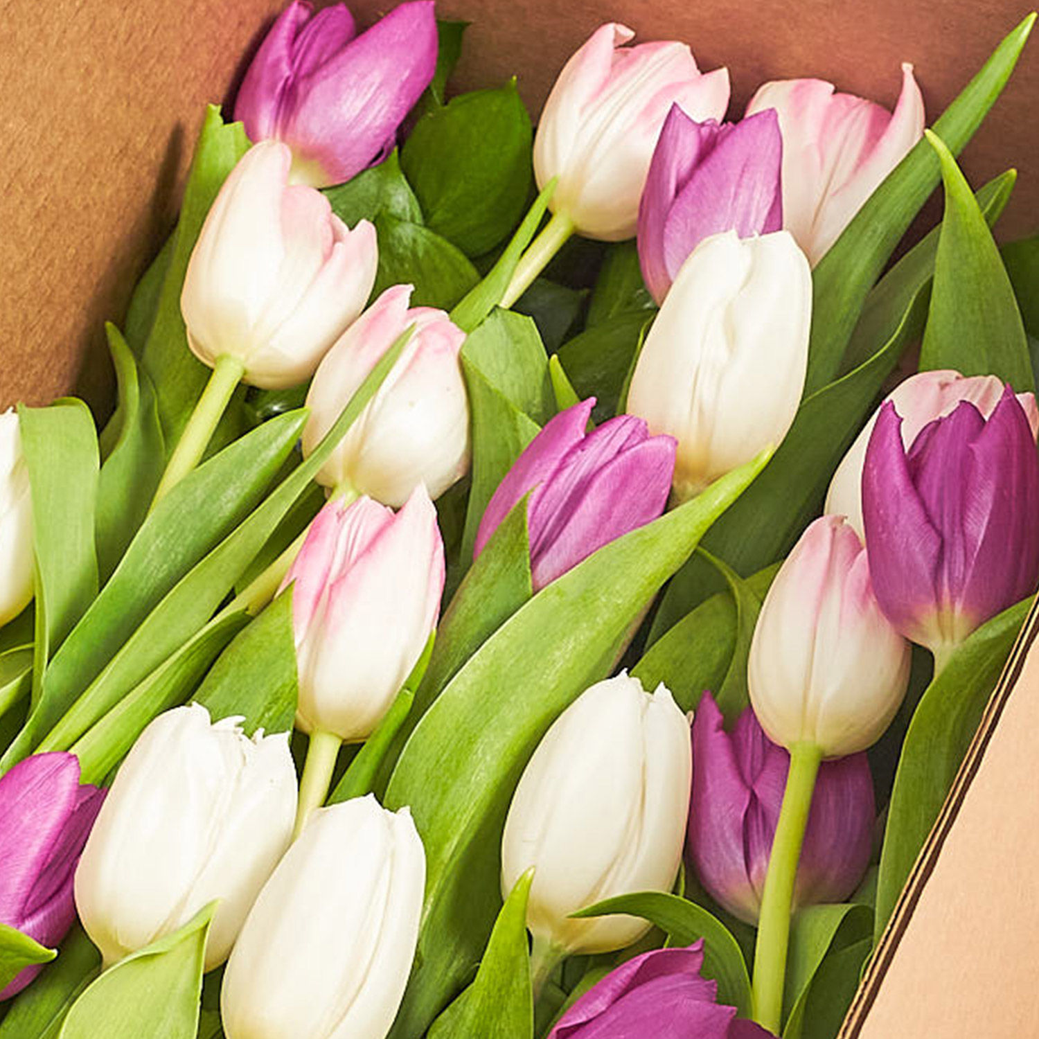 Lovely Mixed Tulips Box Delivery in Singapore - FNP SG