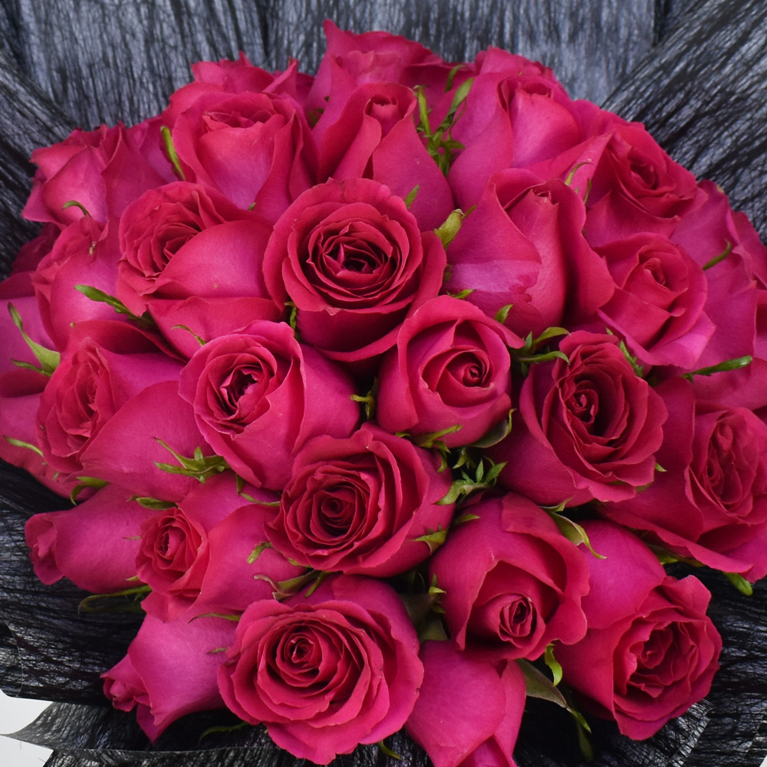 35 Dark Pink Roses Bouquet Delivery in Singapore - FNP SG