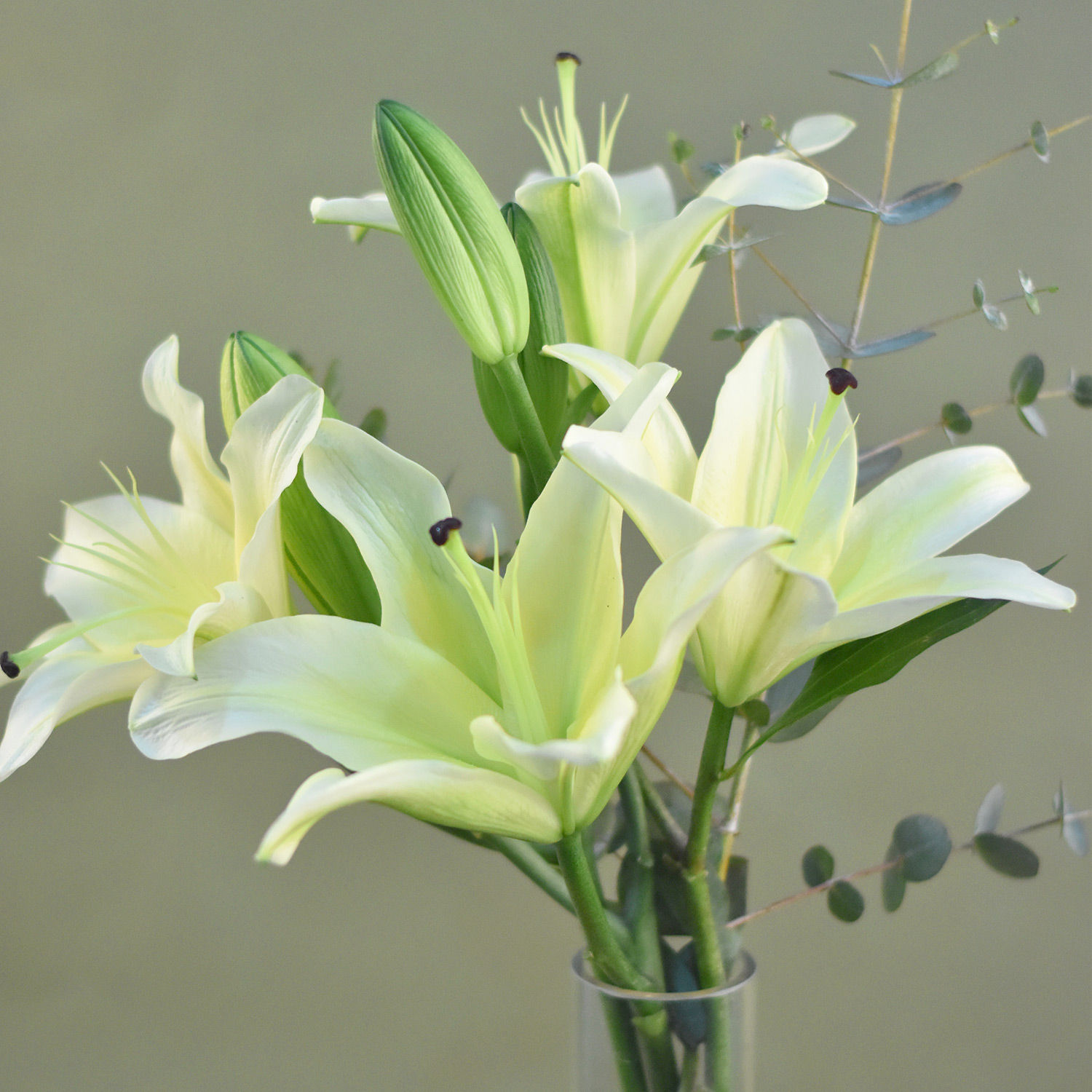 Serene Yellow Lily Bottle Vase Delivery in Singapore - FNP SG