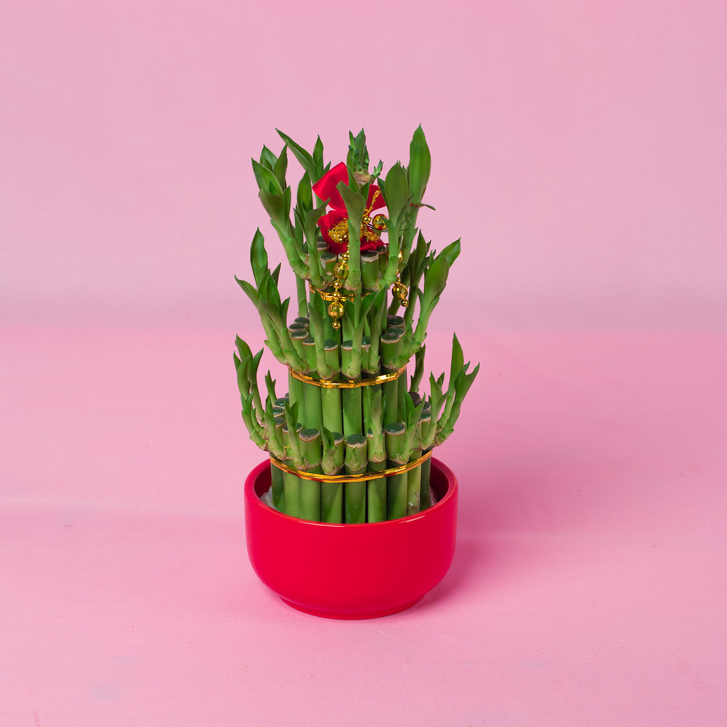 3 Layer Bamboo In Chinese New Year In Red Pot Delivery in Singapore ...