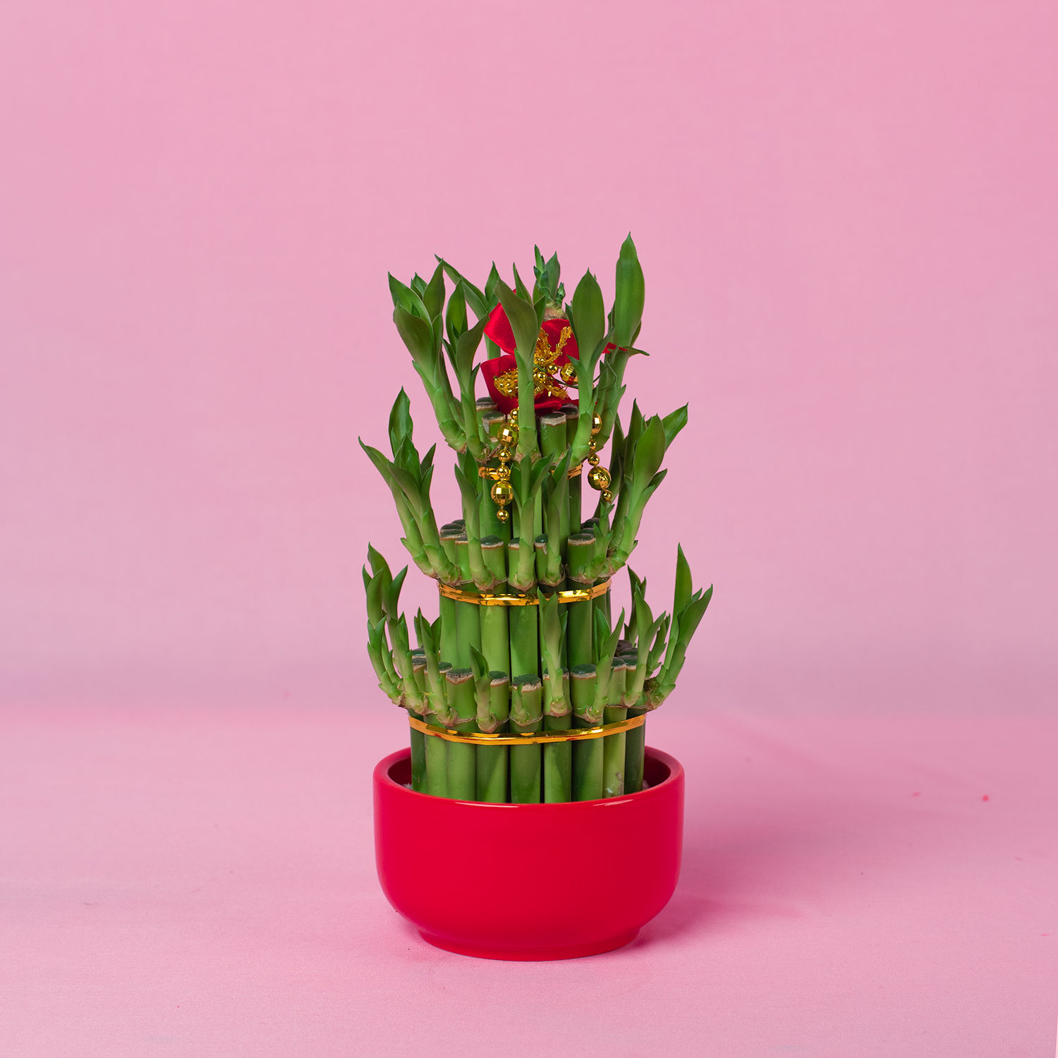 3 Layer Bamboo In Chinese New Year In Red Pot Delivery in Singapore ...