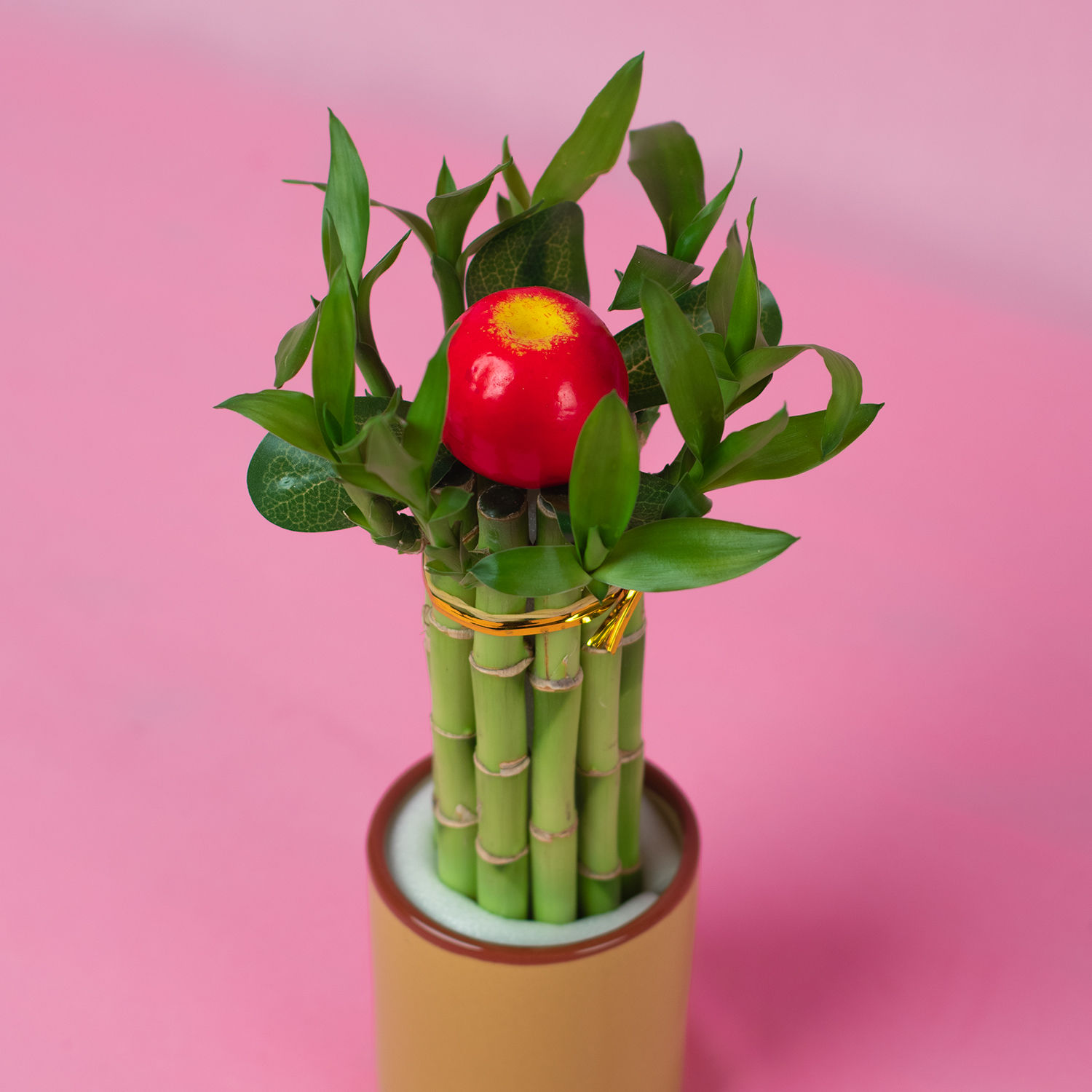 Chinese New Year Bamboo Plant In Brown Pot Delivery in Singapore - FNP SG