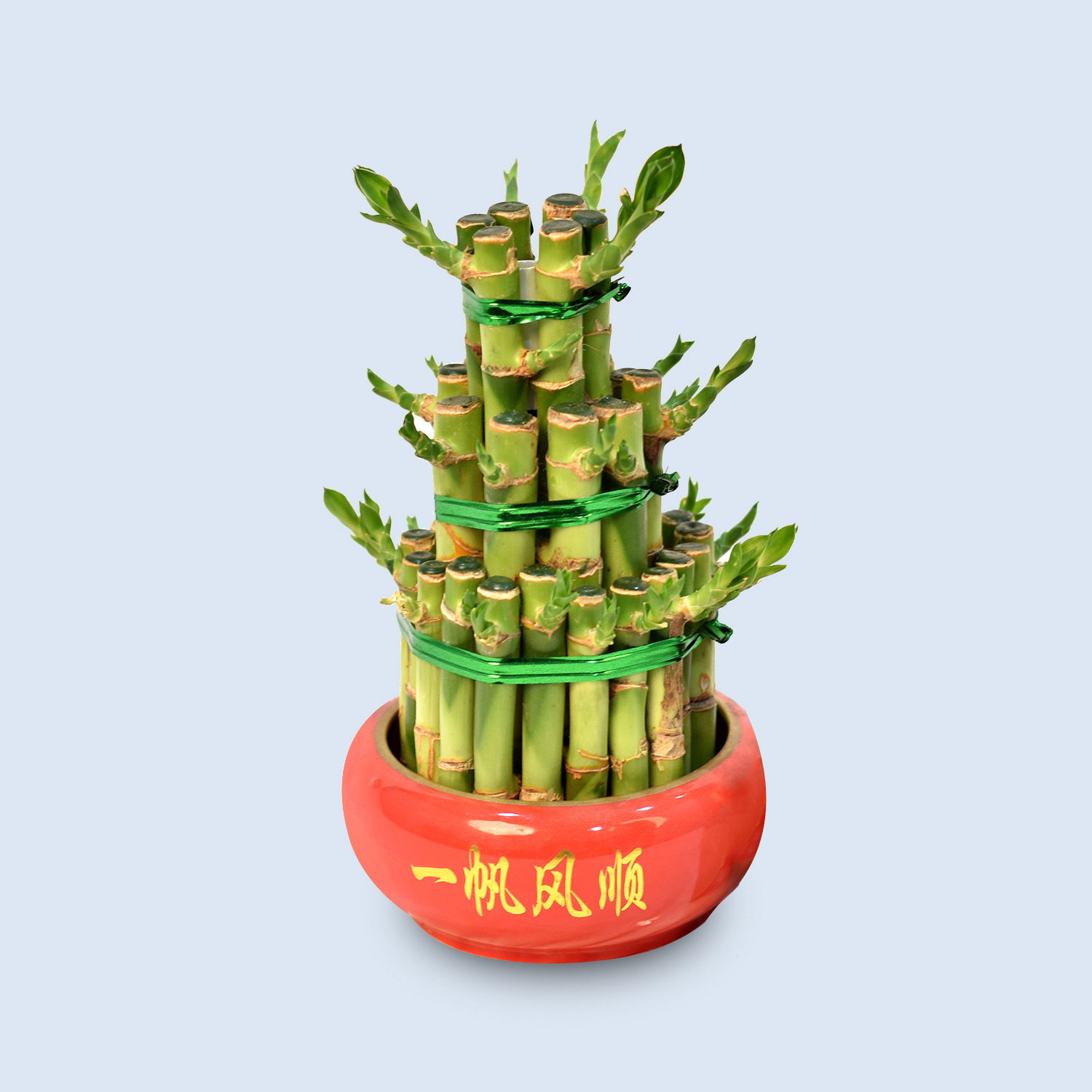 3 Layer Bamboo Plant Delivery in Singapore - FNP SG