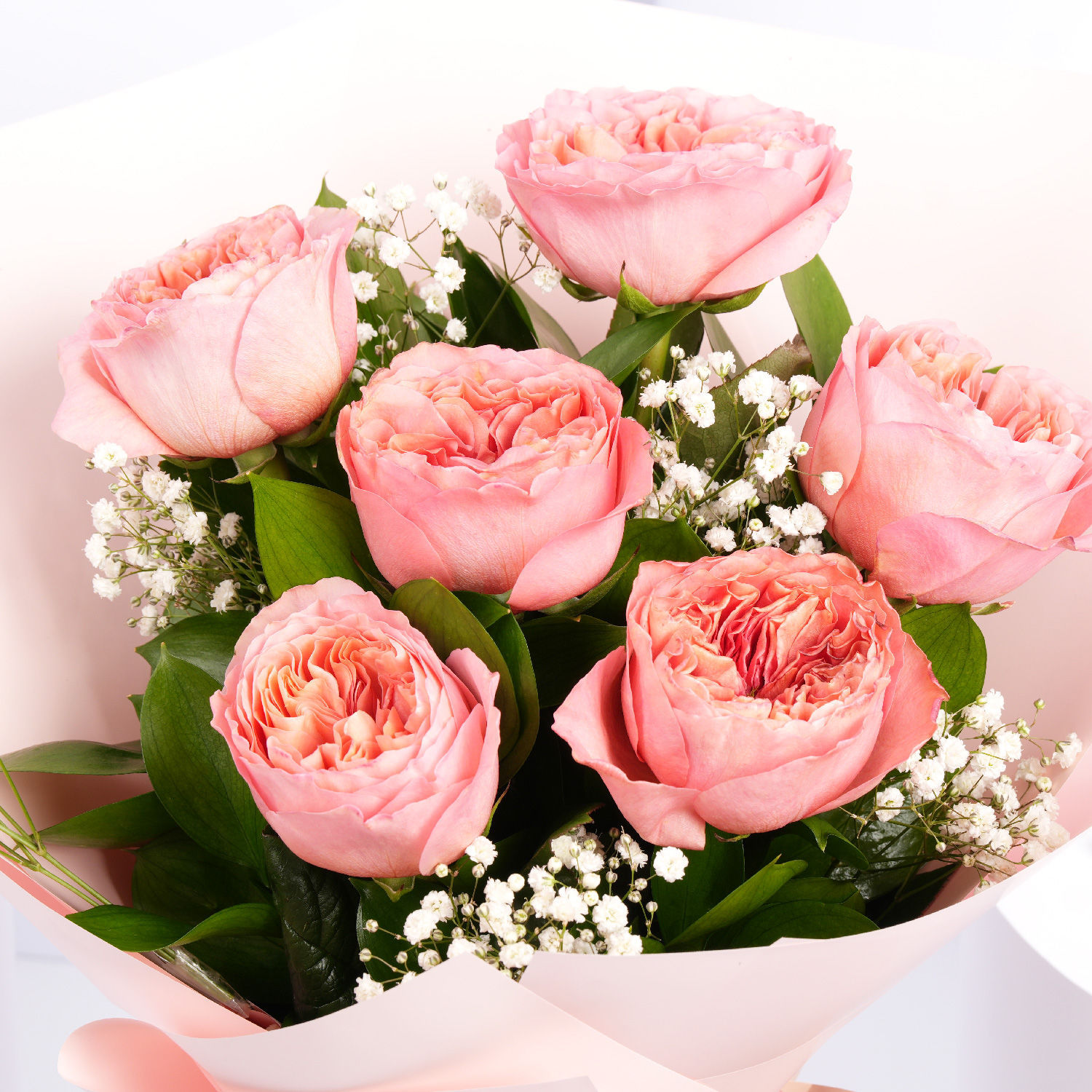 6 Pink Garden Roses Premium Bouquet Delivery in Singapore - FNP SG