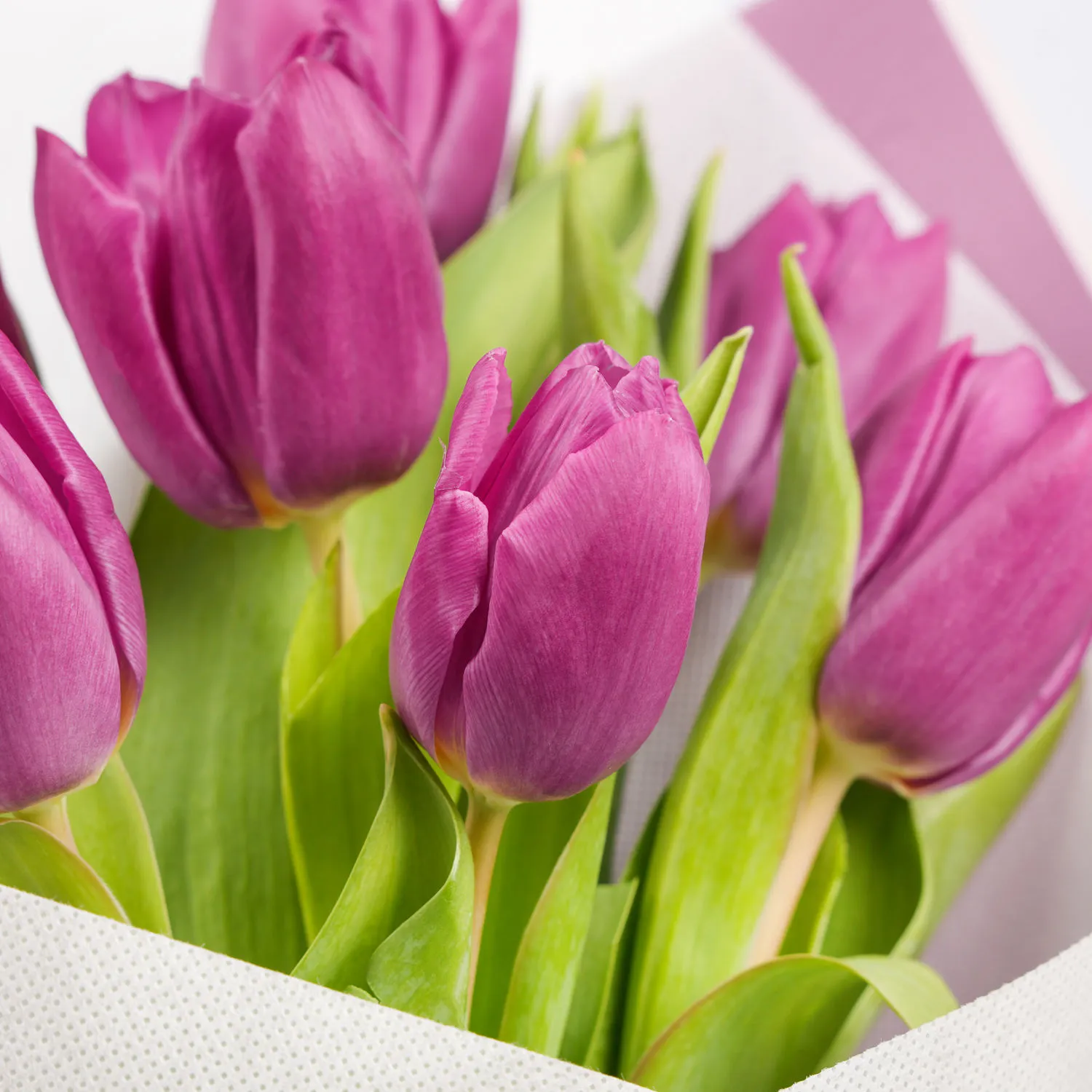 7 Purple Tulips Bouquet Delivery in Singapore - FNP SG